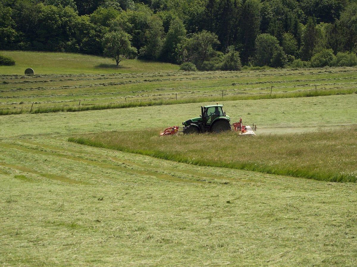 Biodiversitätsreiche Wiesen und Weiden – ein Gewinn für alle ...